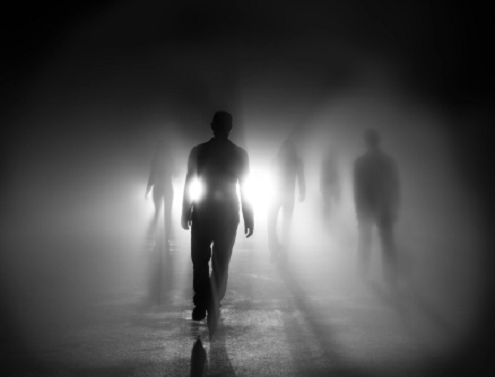 In The Shadows – Expanded Perspectives